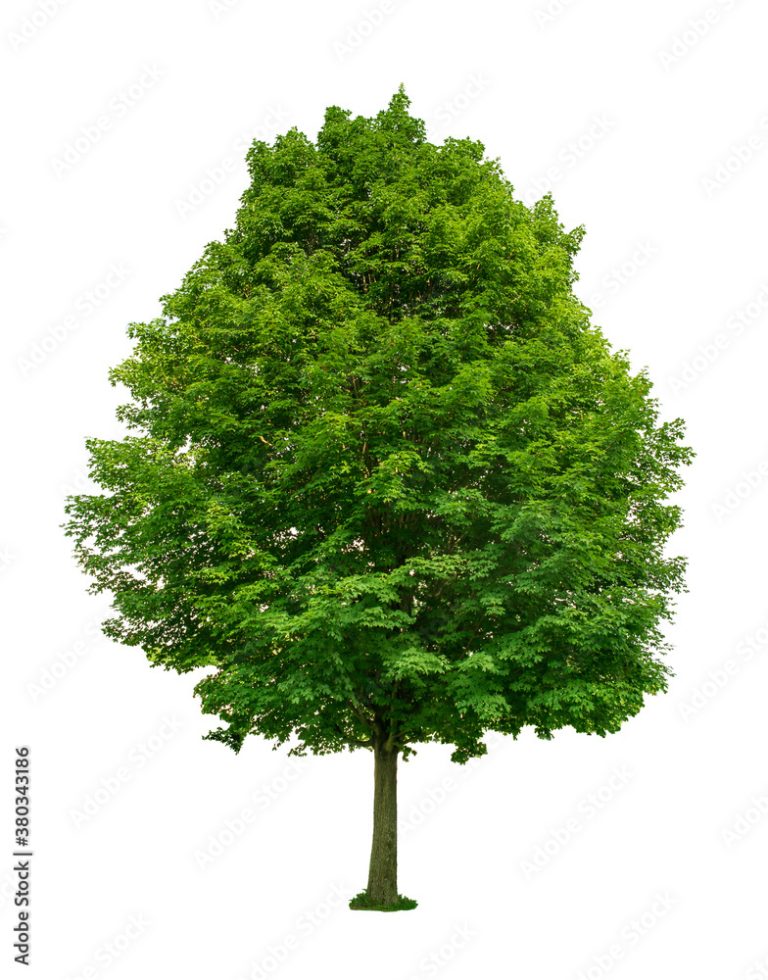 About Arrow Automotive | Component Machining & Fabrication